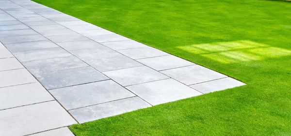 3 potential themes to consider for your garden redesign – Bridge Street ...